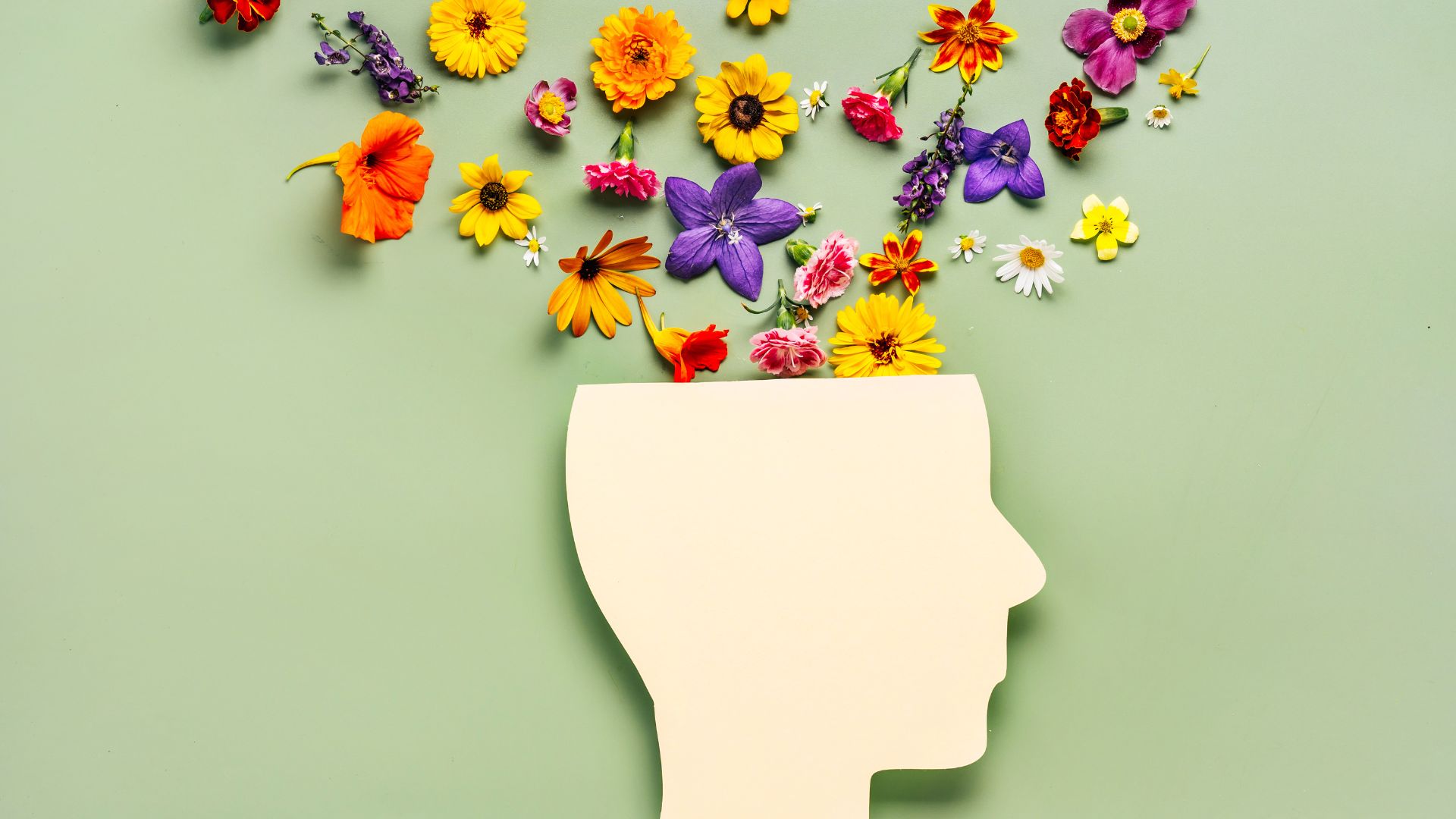 Amy Dolnick's Commitment to Teens’ Mental Health - After School Matters